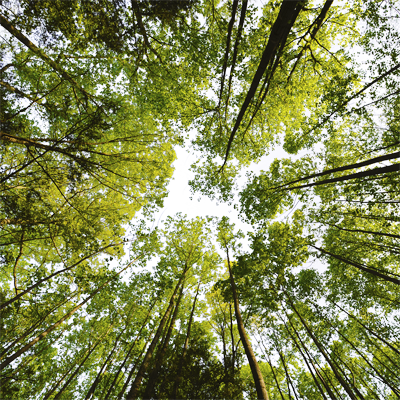 Anders Riggelsen - Visual glBlendFunc and glBlendEquation Tool