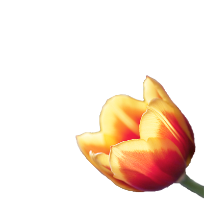 Anders Riggelsen - Visual glBlendFunc and glBlendEquation Tool