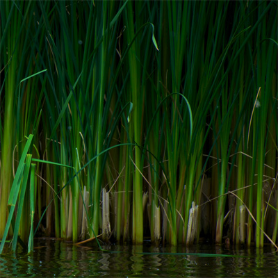 Anders Riggelsen - Visual glBlendFunc and glBlendEquation Tool